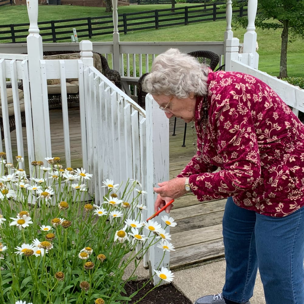 Photo Gallery | Morning Pointe Senior Living